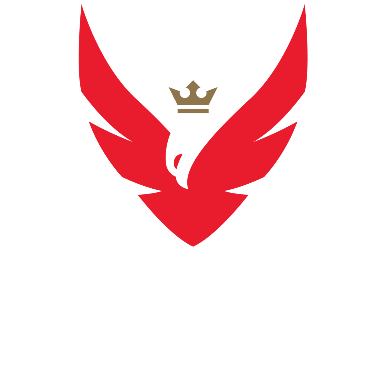 Security Firearms Safety Course — Regal Security & Industry Training
